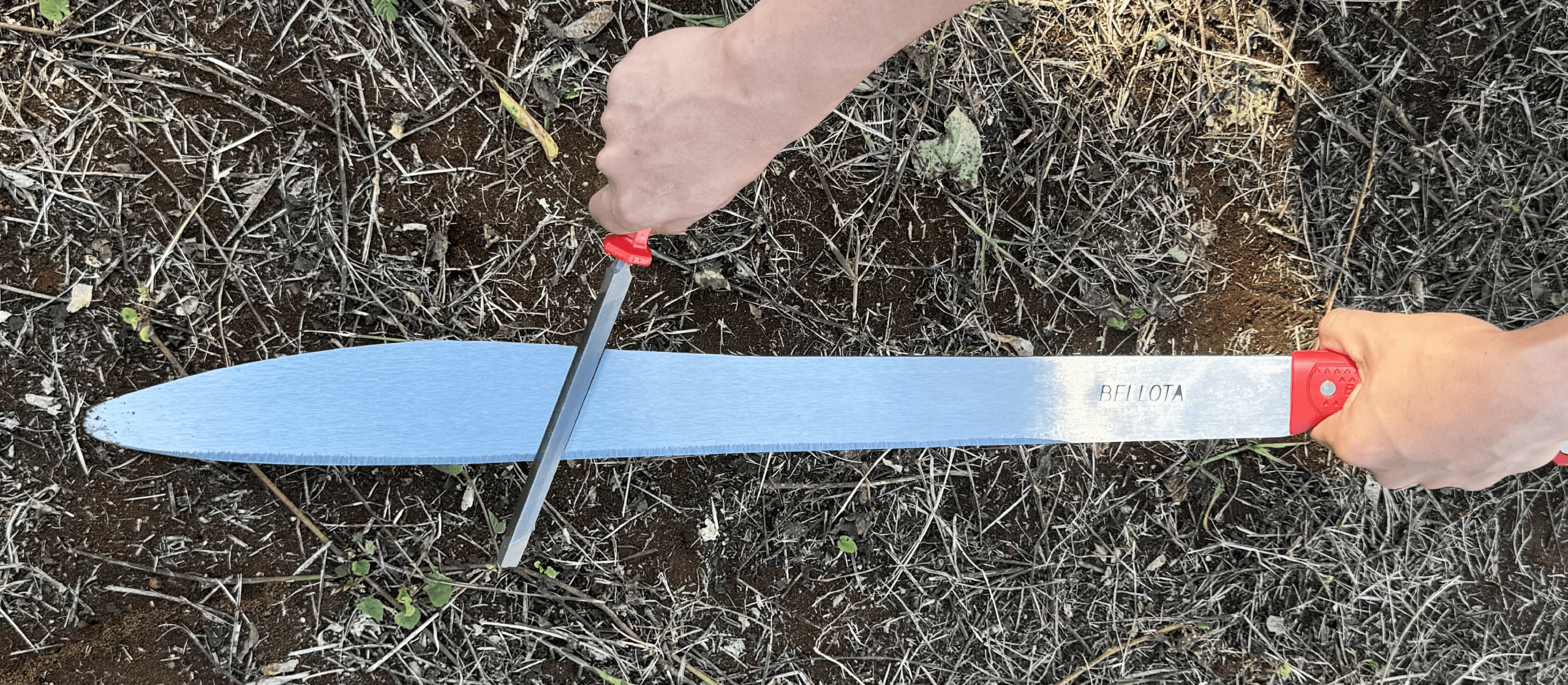 Herramientas agrícolas más importantes para tu cultivo - Bellota México