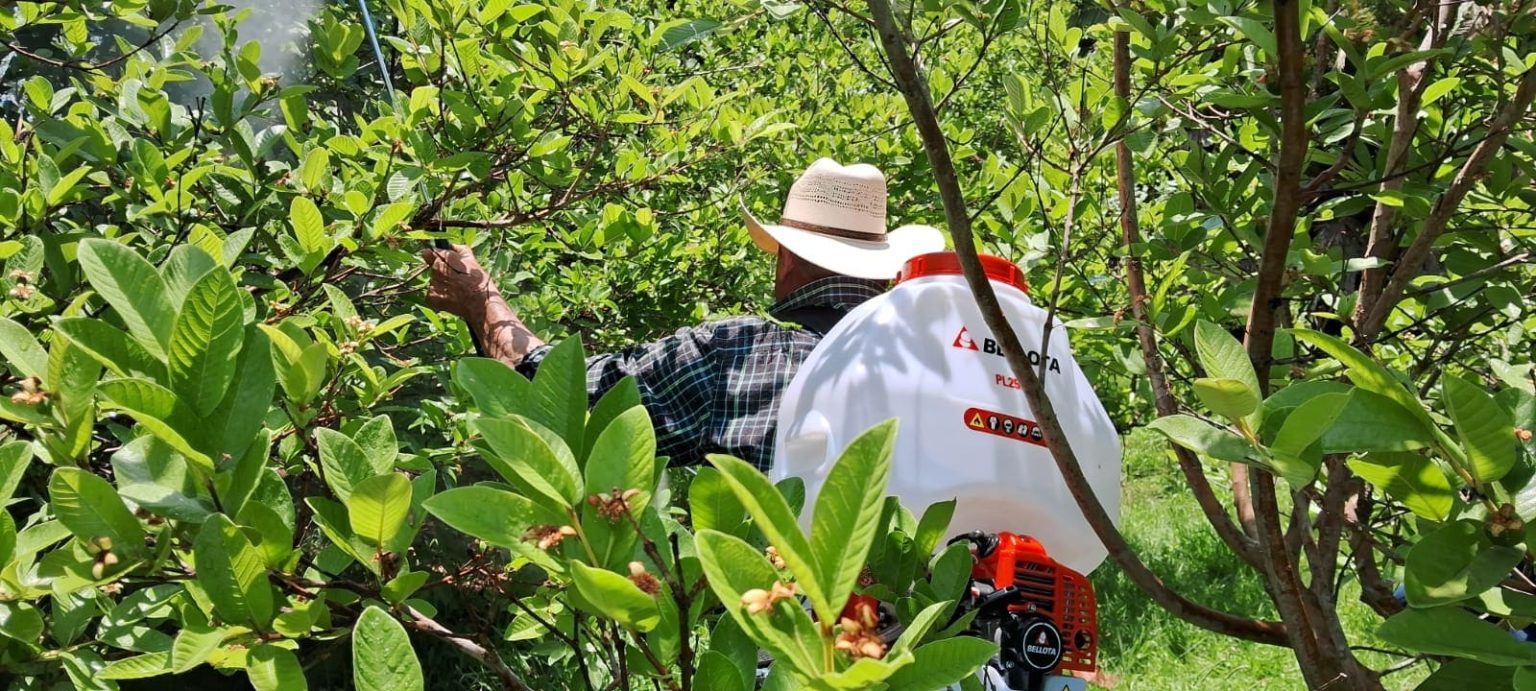 Bellota herramientas | Inspirados por el trabajo duro